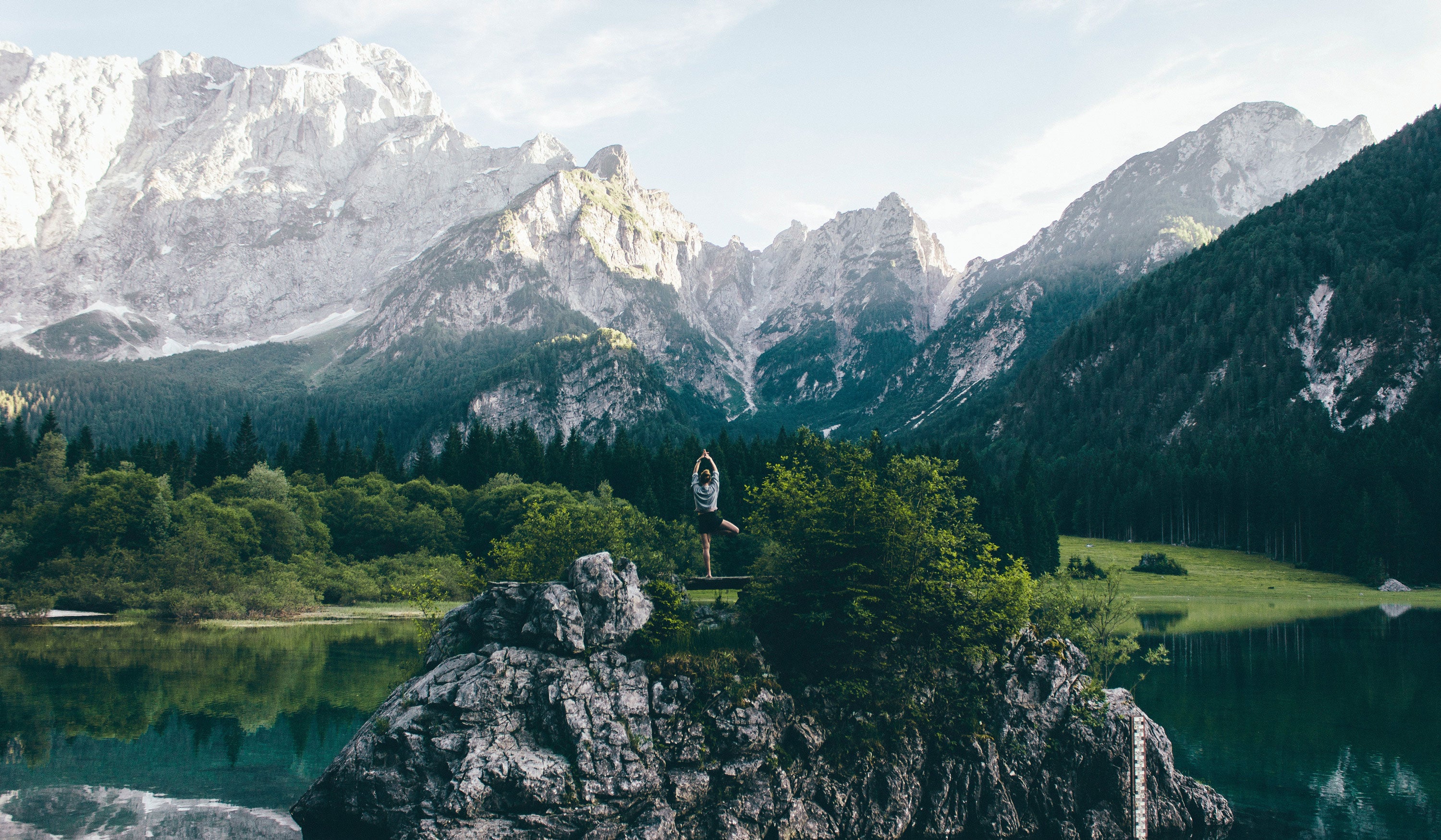 Revive Qi Formulations